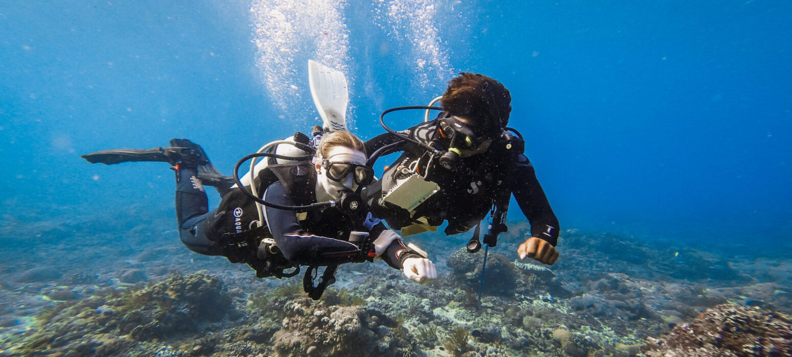 Research Diver Course – Ceningan Divers Conservation